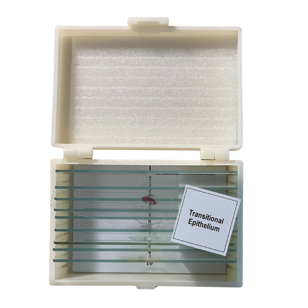 Basic Glass Slide Set, 10 Prepared Slide in Flip-top Plastic Storage Case - Benz Microscope ...