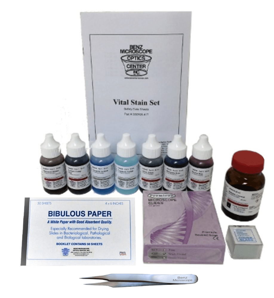 Complete Slide Making Kit with Slides, Stains, Balsam & More