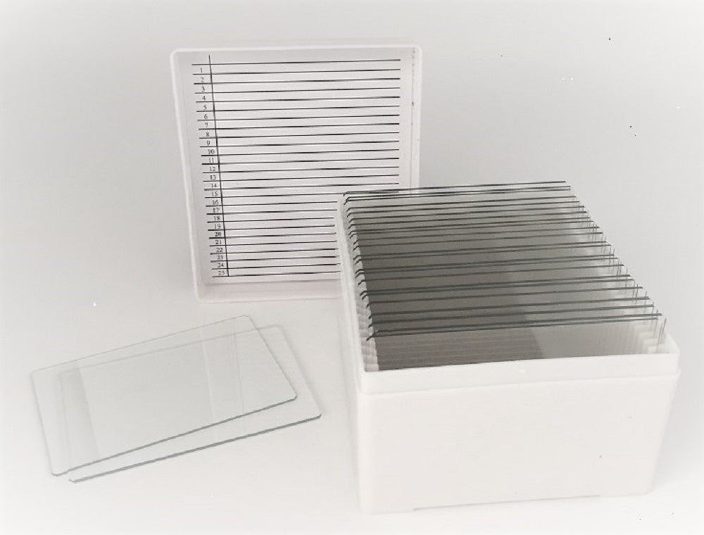 Large 3" x 2" Glass Microscope Slides in Storage Case, 25 Ct